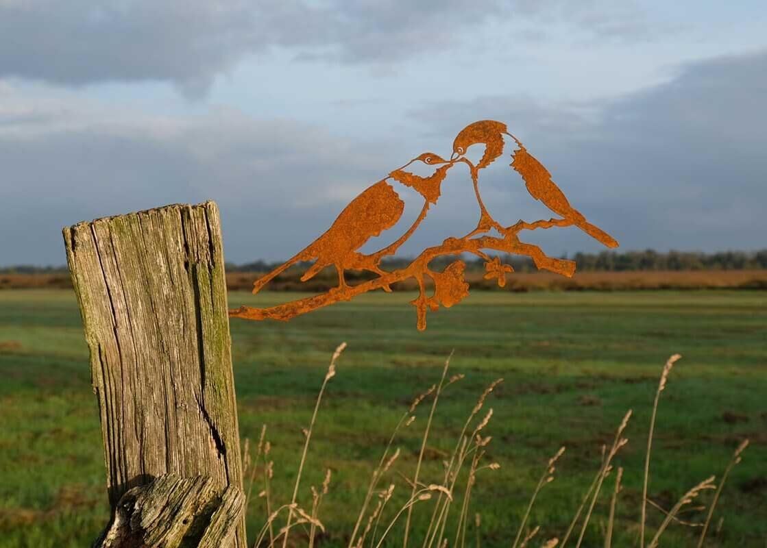 Geluksvogel Mezen paartje Roest Metaal - DecoAction.nl