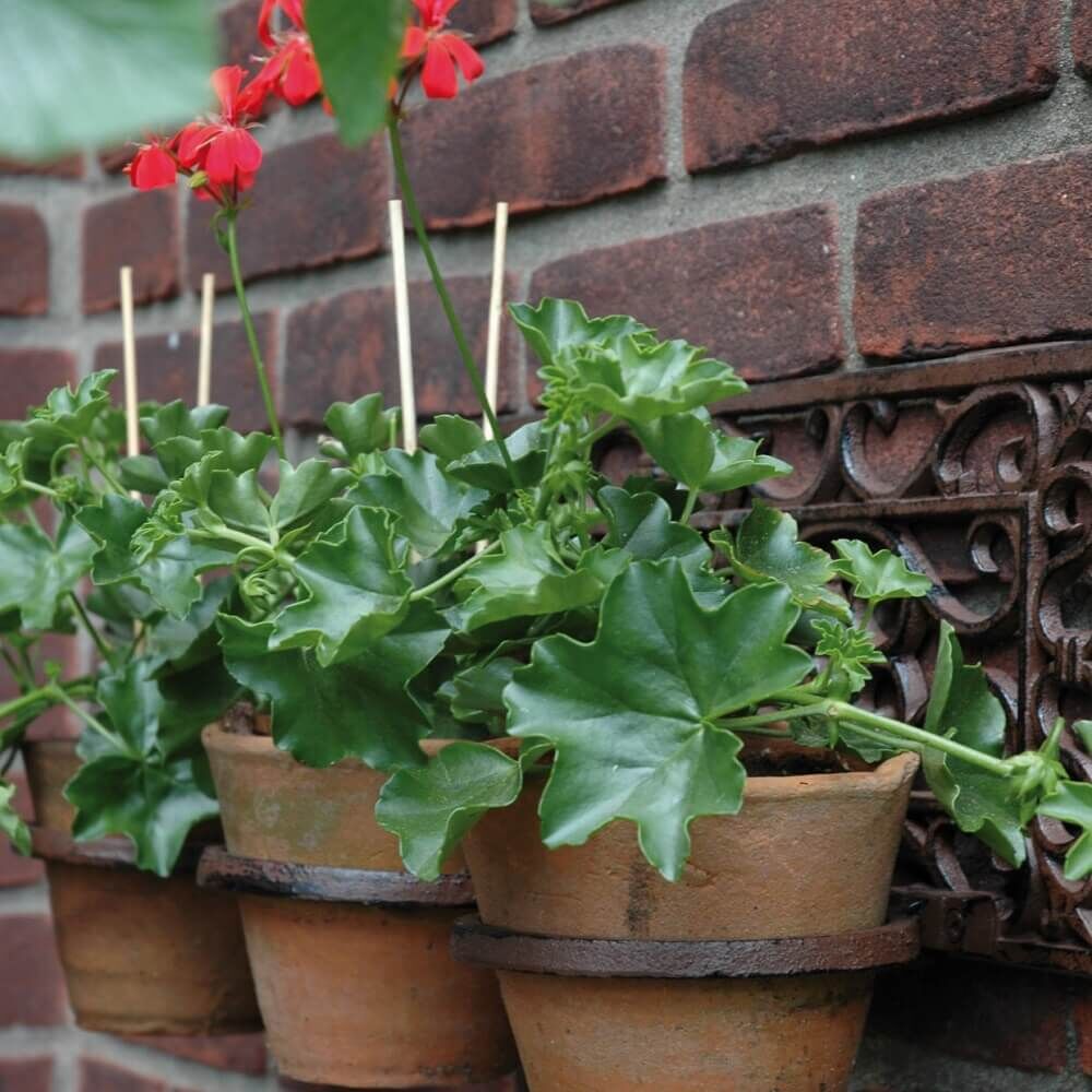 Bloempot houder drie houders Esschert | DecoAction.nl